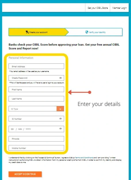 CIBIL Score: How to Check Your Cibil Score Online